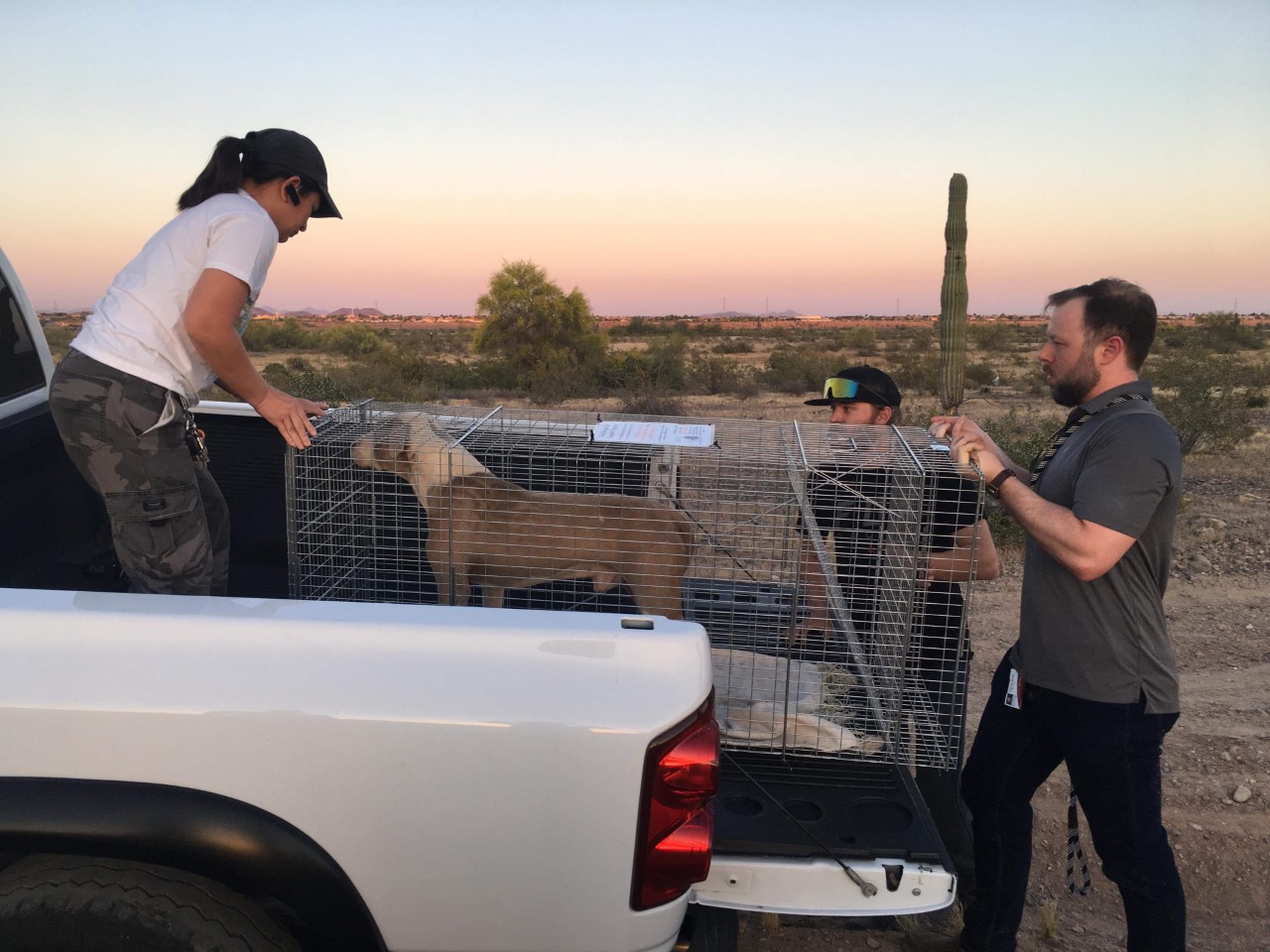 Humane Trapping Workshop | HARTT