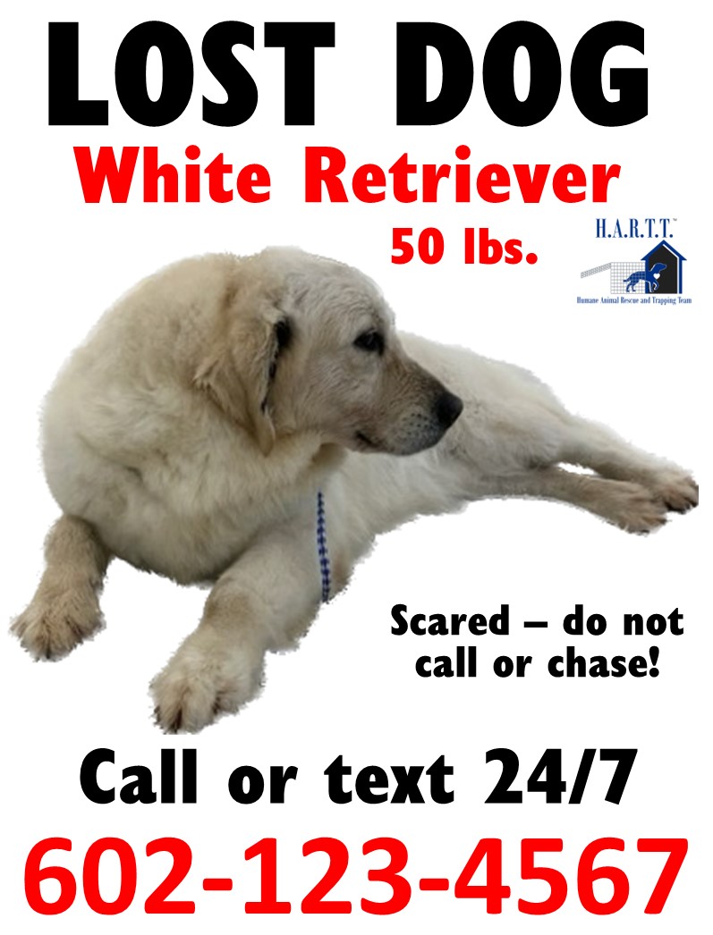 Lost Dog Search Tips | HARTT